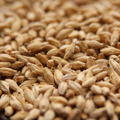 Rahr Premium Pilsner – Grains & Taps